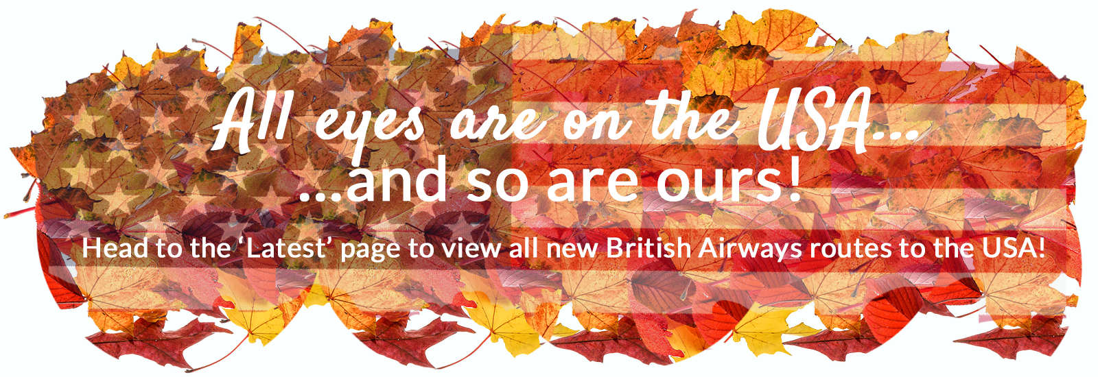 Home - Lime Management