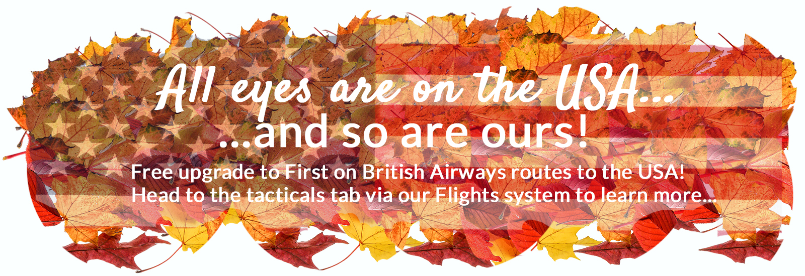 Home - Lime Management