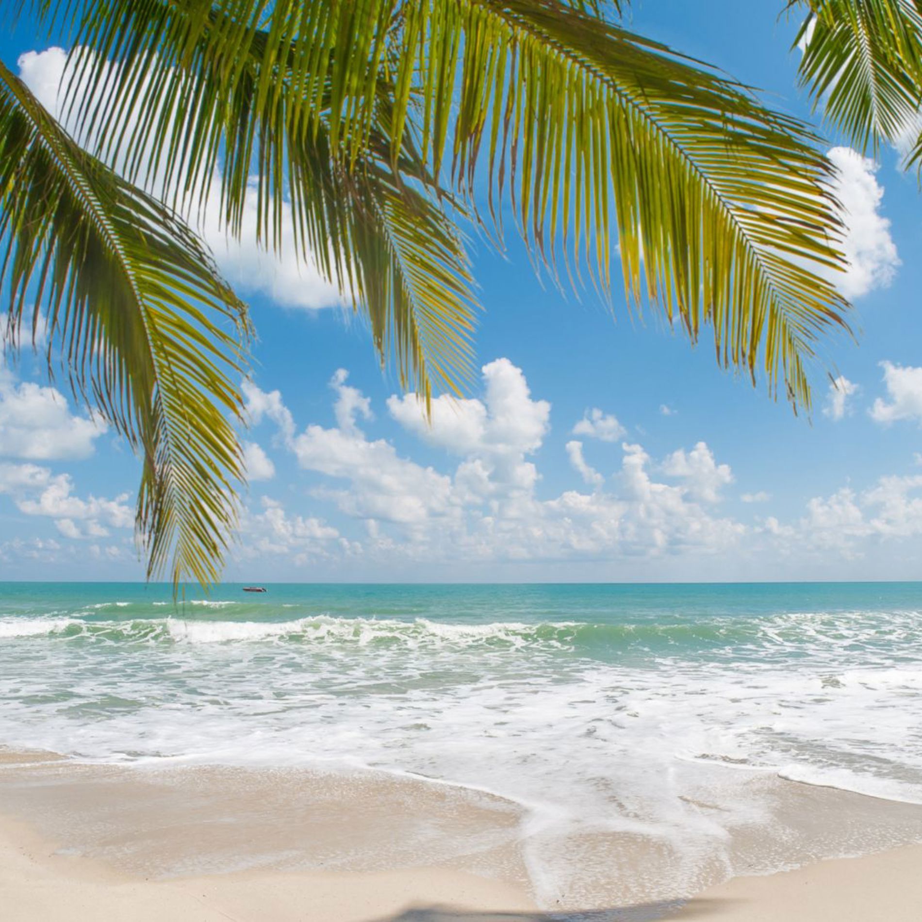 News British Airways Summer schedule 2025