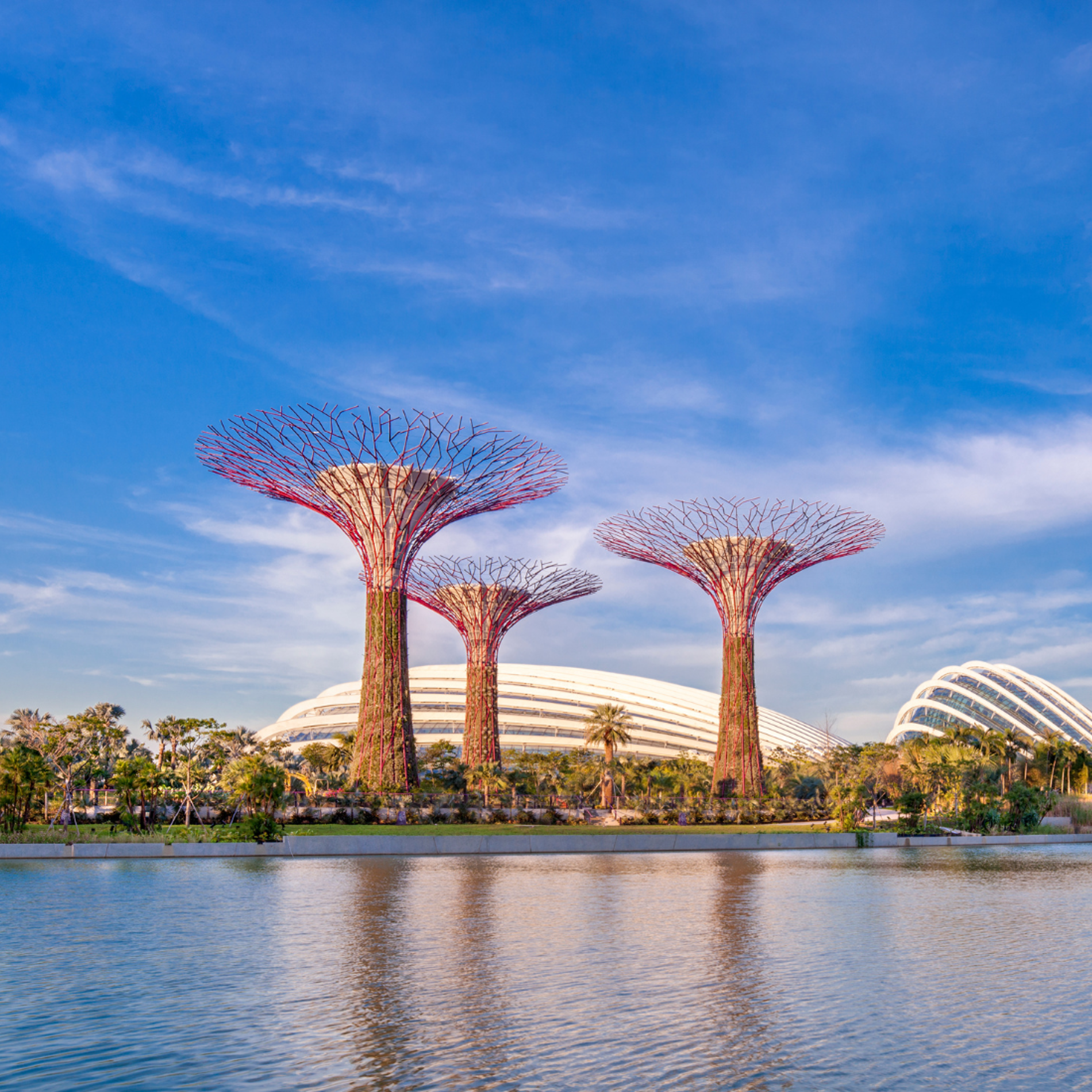 We are giving our Tour Operator Partners an exclusive chance to earn rewards on their new ...